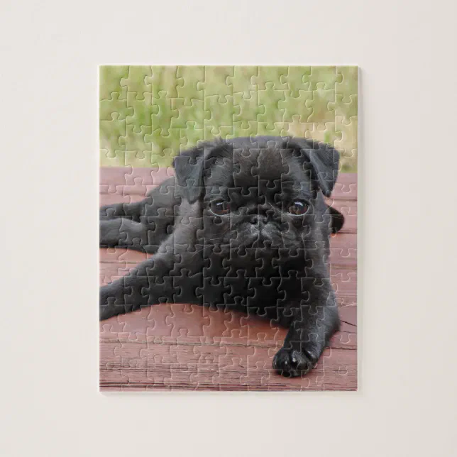 ALERT PUG PUPPY JIGSAW PUZZLE | Zazzle