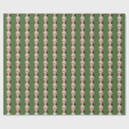 Alexander Hamilton wrapping paper | Zazzle