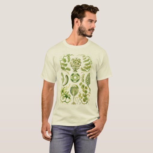 Algae T-Shirt | Zazzle