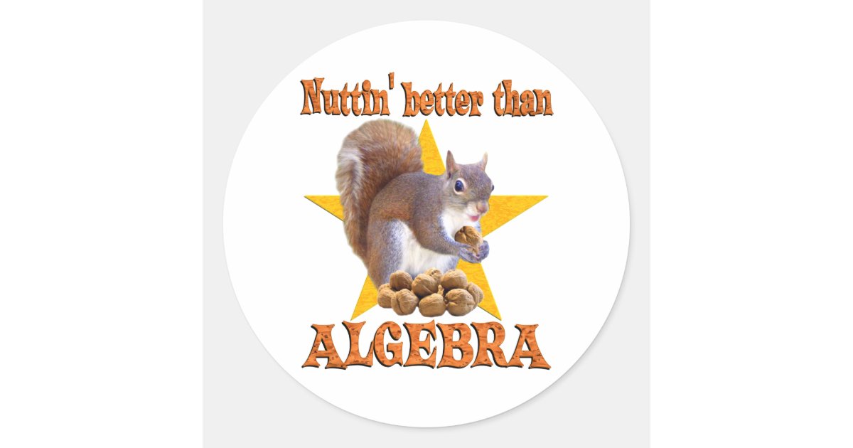 Algebra Squirrel Classic Round Sticker | Zazzle