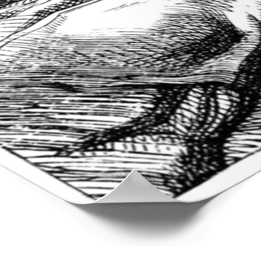 Alice in the White Rabbit's House Poster | Zazzle