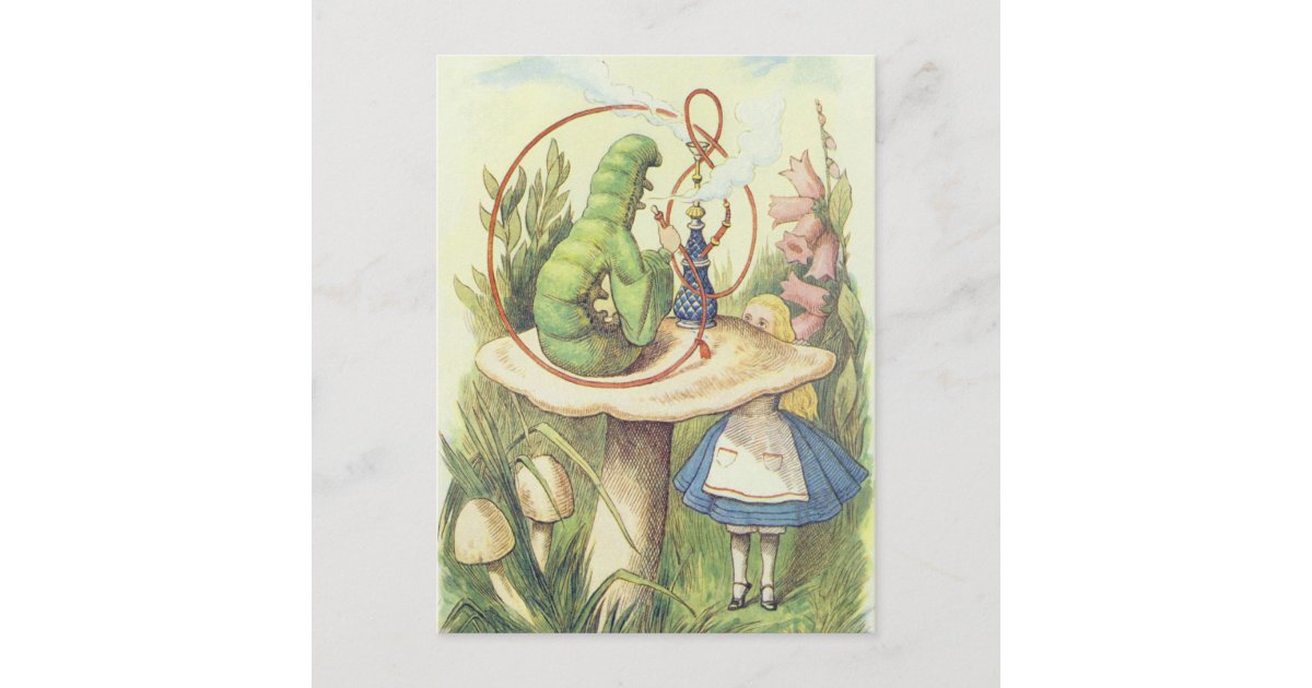 Alice Meets the Caterpillar Postcard | Zazzle