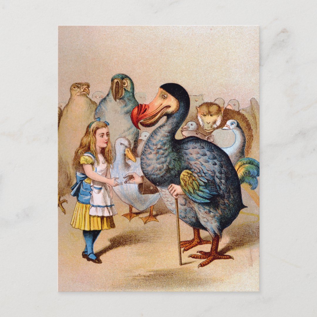 ALICE MEETS THE DODO BIRD POSTCARD | Zazzle