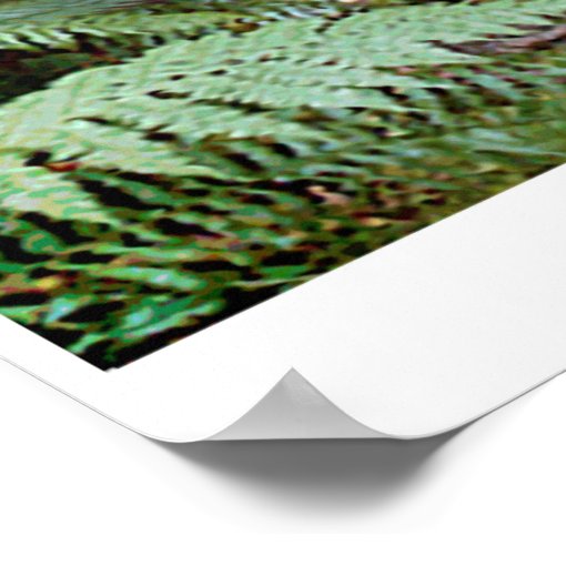 Alice's White Rabbit Poster | Zazzle