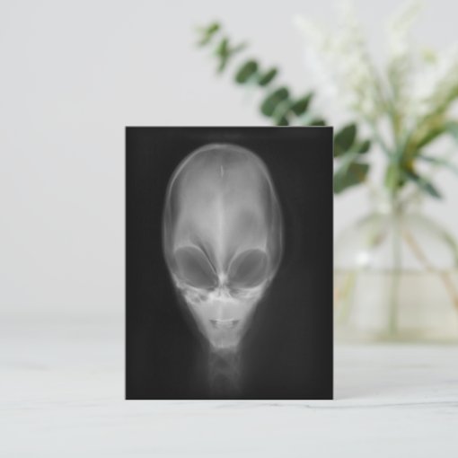 Alien Skull X-ray Postcard | Zazzle