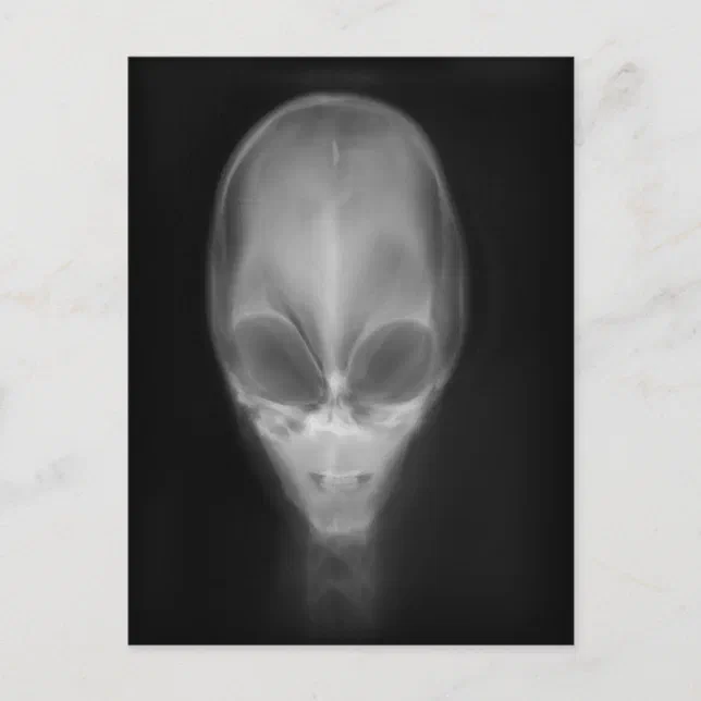 Alien Skull X-ray Postcard | Zazzle