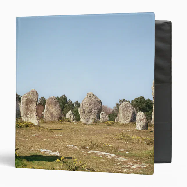 Alignment of standing stones, Megalithic Binder | Zazzle
