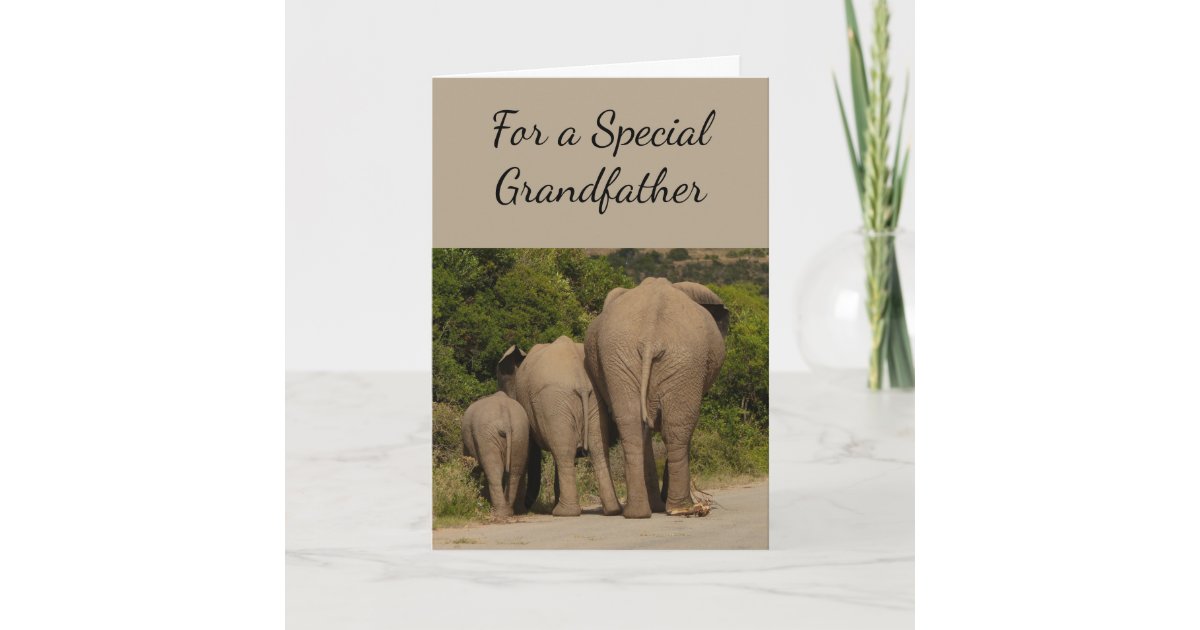 All About Family Special Father's Day Dad Card | Zazzle