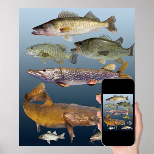 all game fish poster | Zazzle