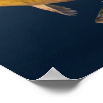 all game fish poster | Zazzle