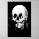 All Is Vanity Charles Allan Gilbert Poster | Zazzle