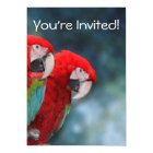 Blue Macaw Parrot Satin Birthday Party Template | Zazzle.com