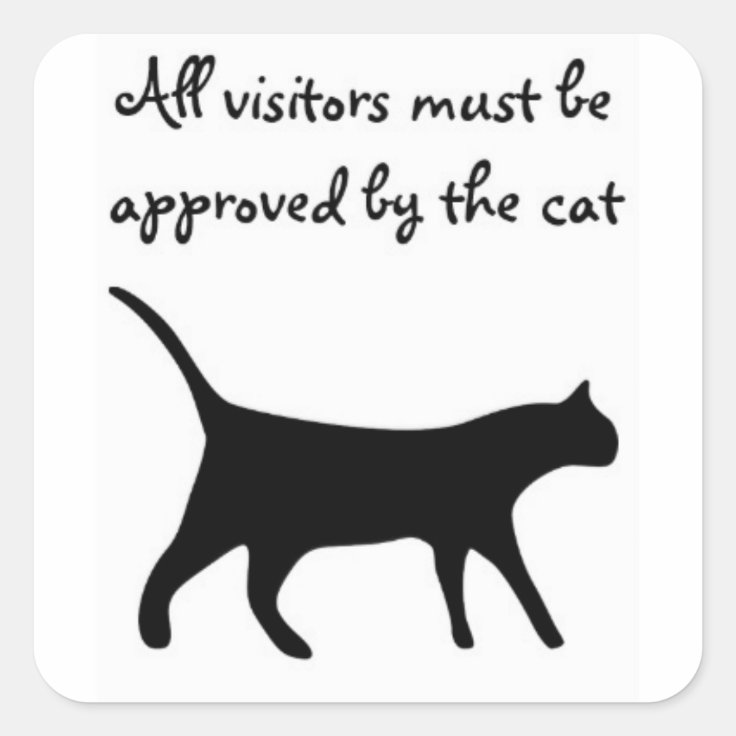 All visitors must be approved by the cat! square sticker | Zazzle
