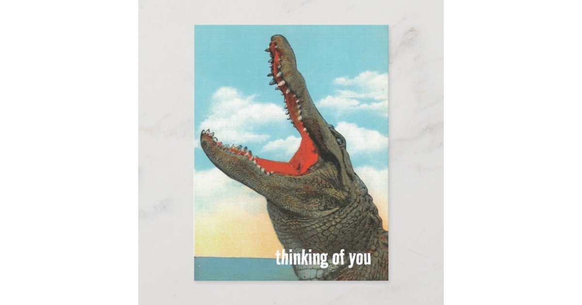 Alligator Chomp Postcard | Zazzle
