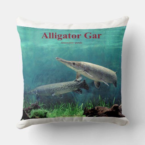 Alligator Gar Pike Throw Pillow | Zazzle