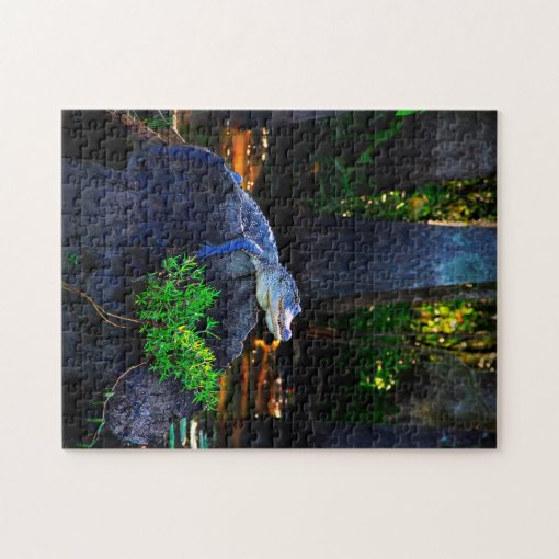 Alligator Gator Louisiana. Jigsaw Puzzle | Zazzle
