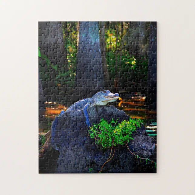 Alligator Gator Louisiana. Jigsaw Puzzle | Zazzle