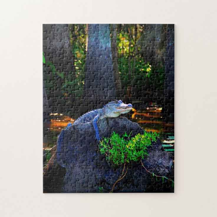 Alligator Gator Louisiana. Jigsaw Puzzle | Zazzle
