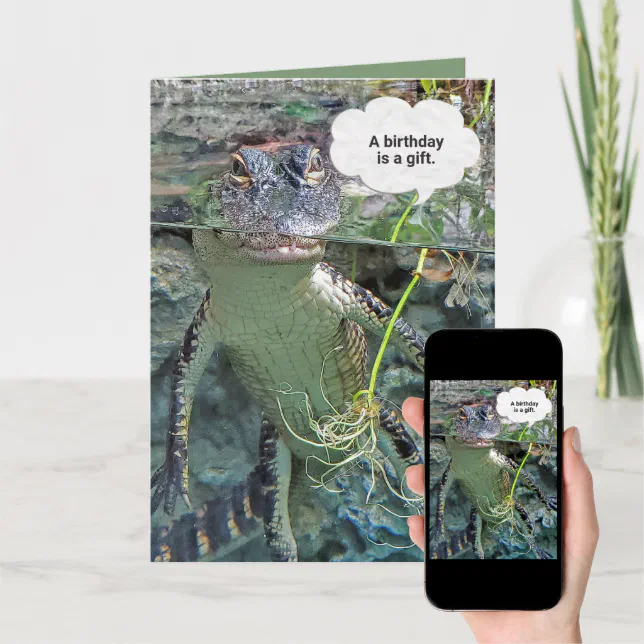 alligator in pond water birthday humor card | Zazzle