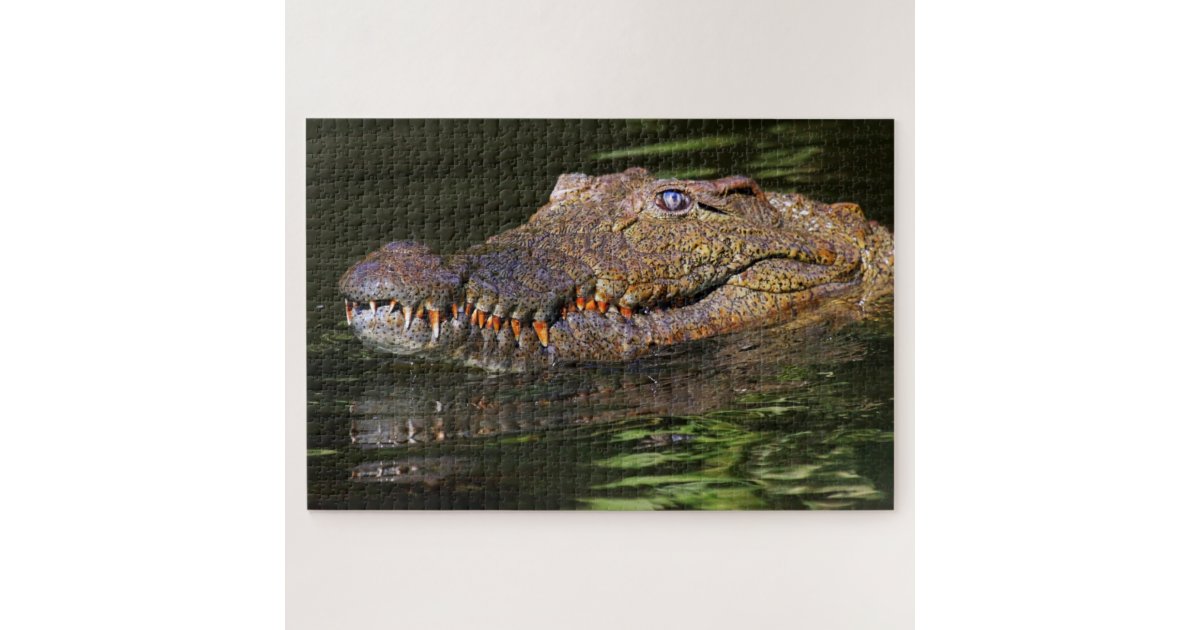 Alligator Jigsaw Puzzle | Zazzle