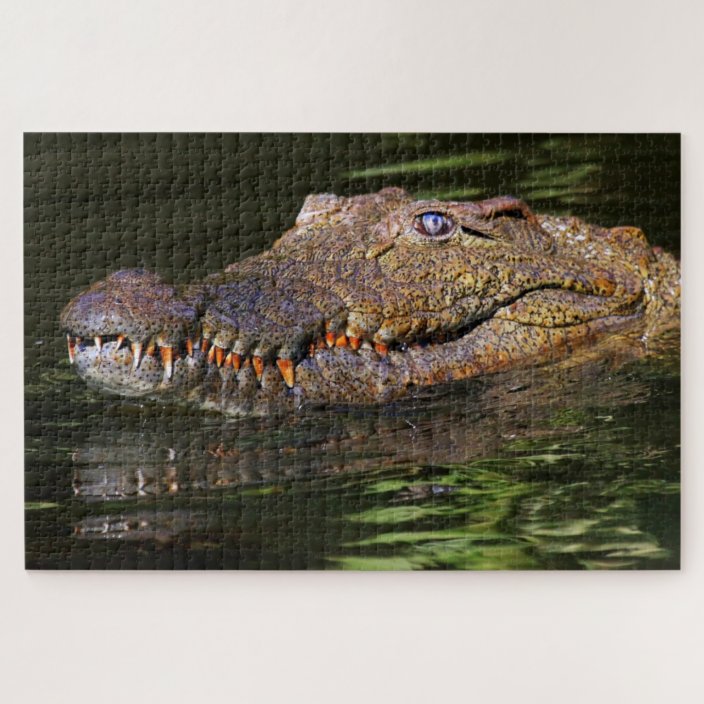 Alligator Jigsaw Puzzle | Zazzle.com