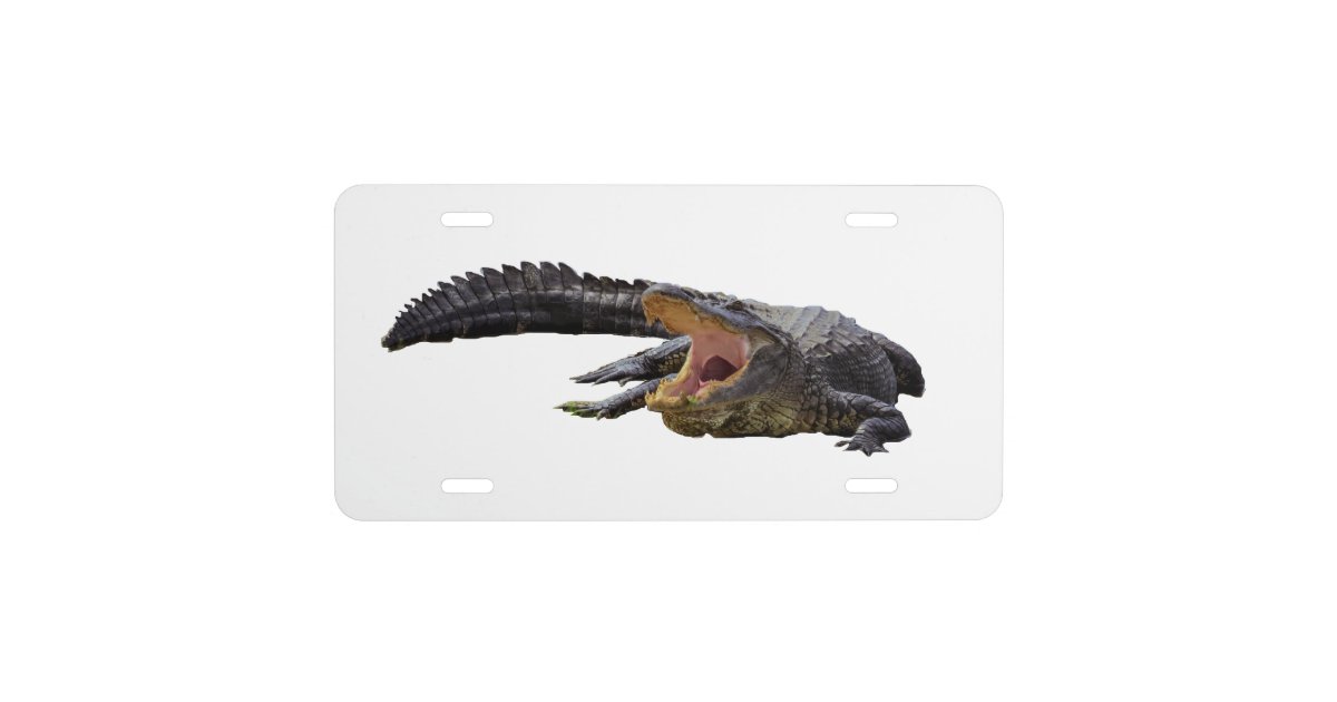 Alligator License Plate | Zazzle