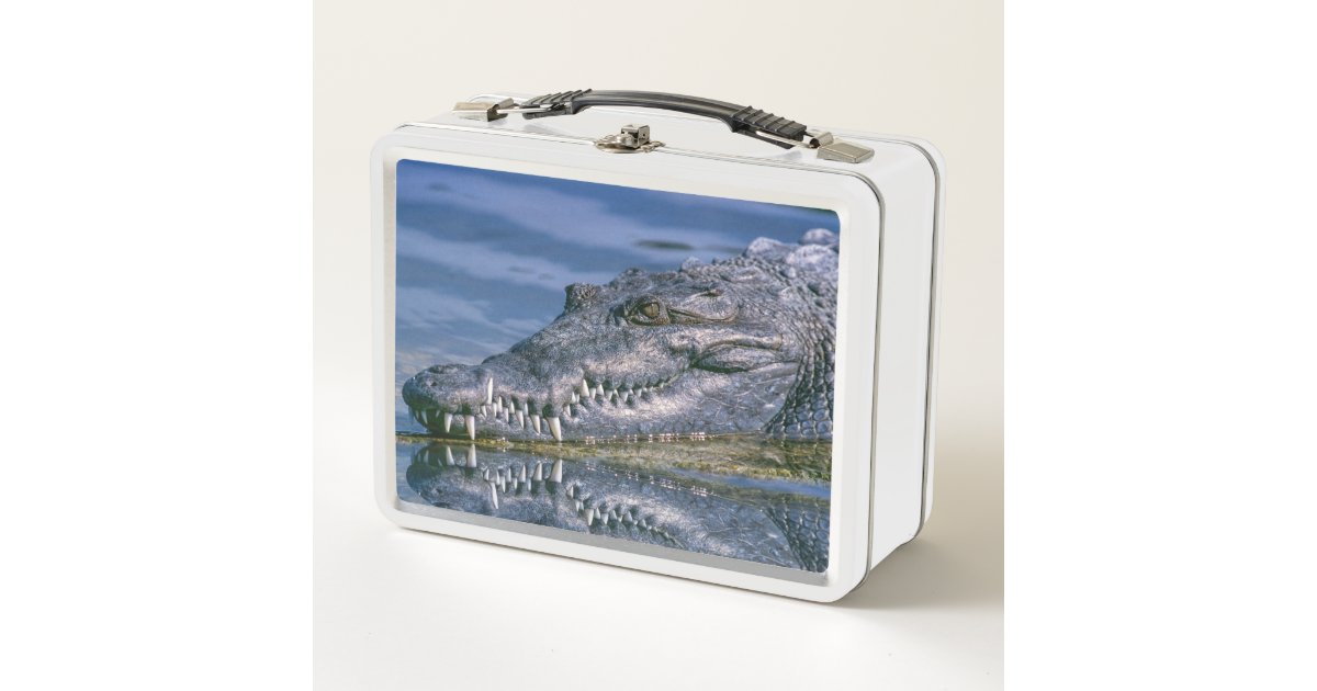 Alligator Metal Lunch Box | Zazzle