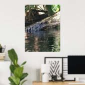 Alligator Photo Poster | Zazzle