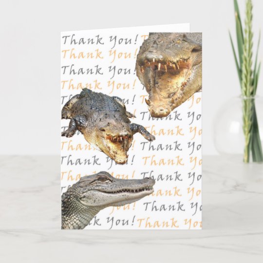 Alligator Thank You Card | Zazzle.com