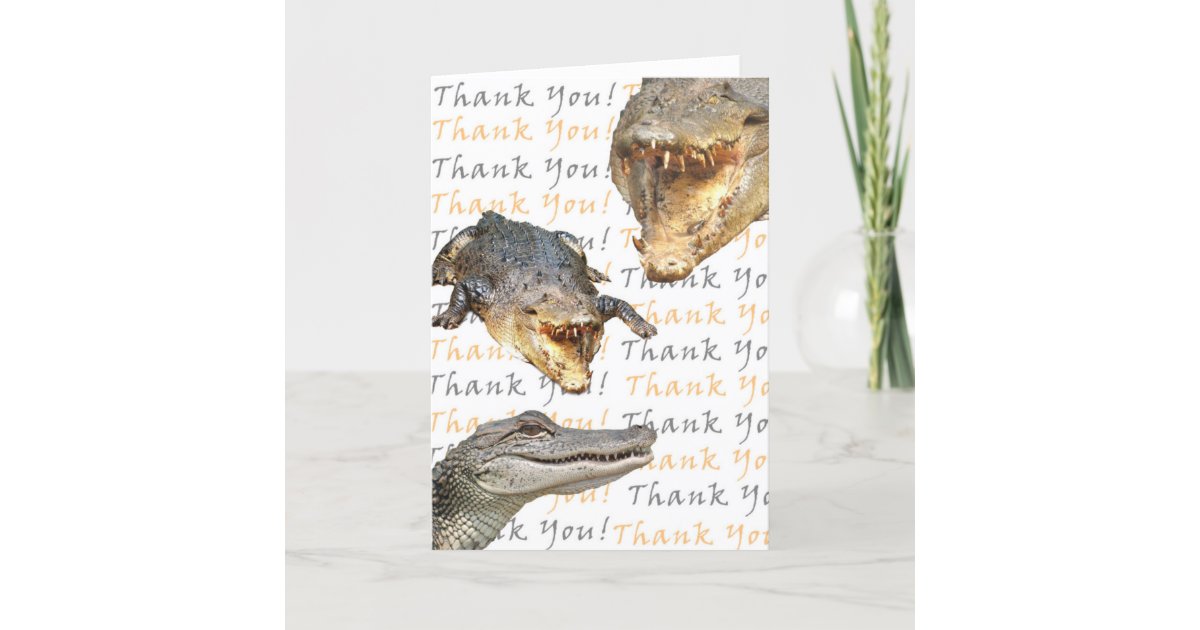 Alligator Thank You Card | Zazzle
