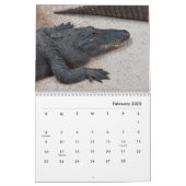Alligators Wall Calendar | Zazzle