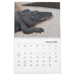 Alligators Wall Calendar | Zazzle
