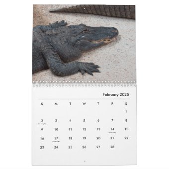 Alligators Wall Calendar | Zazzle