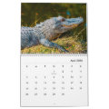 Alligators Wall Calendar | Zazzle