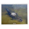 Alligators Wall Calendar | Zazzle