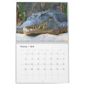 Alligators Wall Calendar | Zazzle