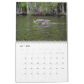 Alligators Wall Calendar | Zazzle