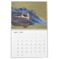 Alligators Wall Calendar | Zazzle