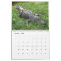 Alligators Wall Calendar | Zazzle