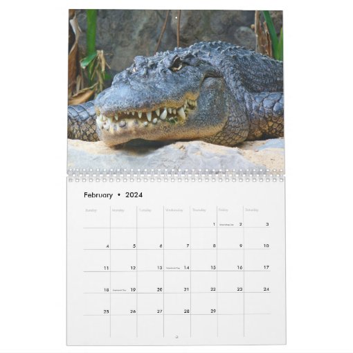 Alligators Wall Calendar | Zazzle