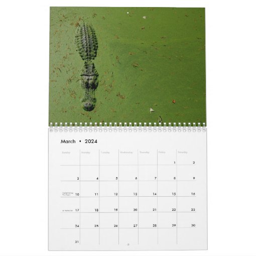 Alligators Wall Calendar | Zazzle