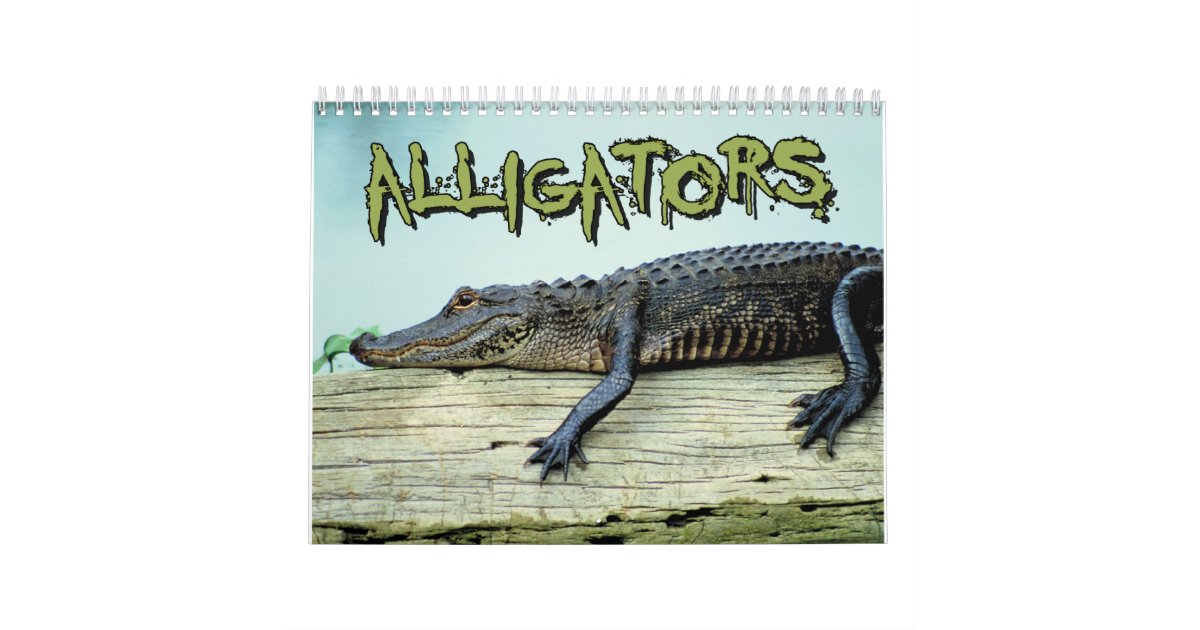Alligators Wall Calendar | Zazzle