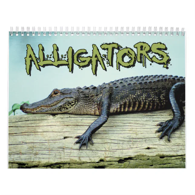 Alligators Wall Calendar | Zazzle
