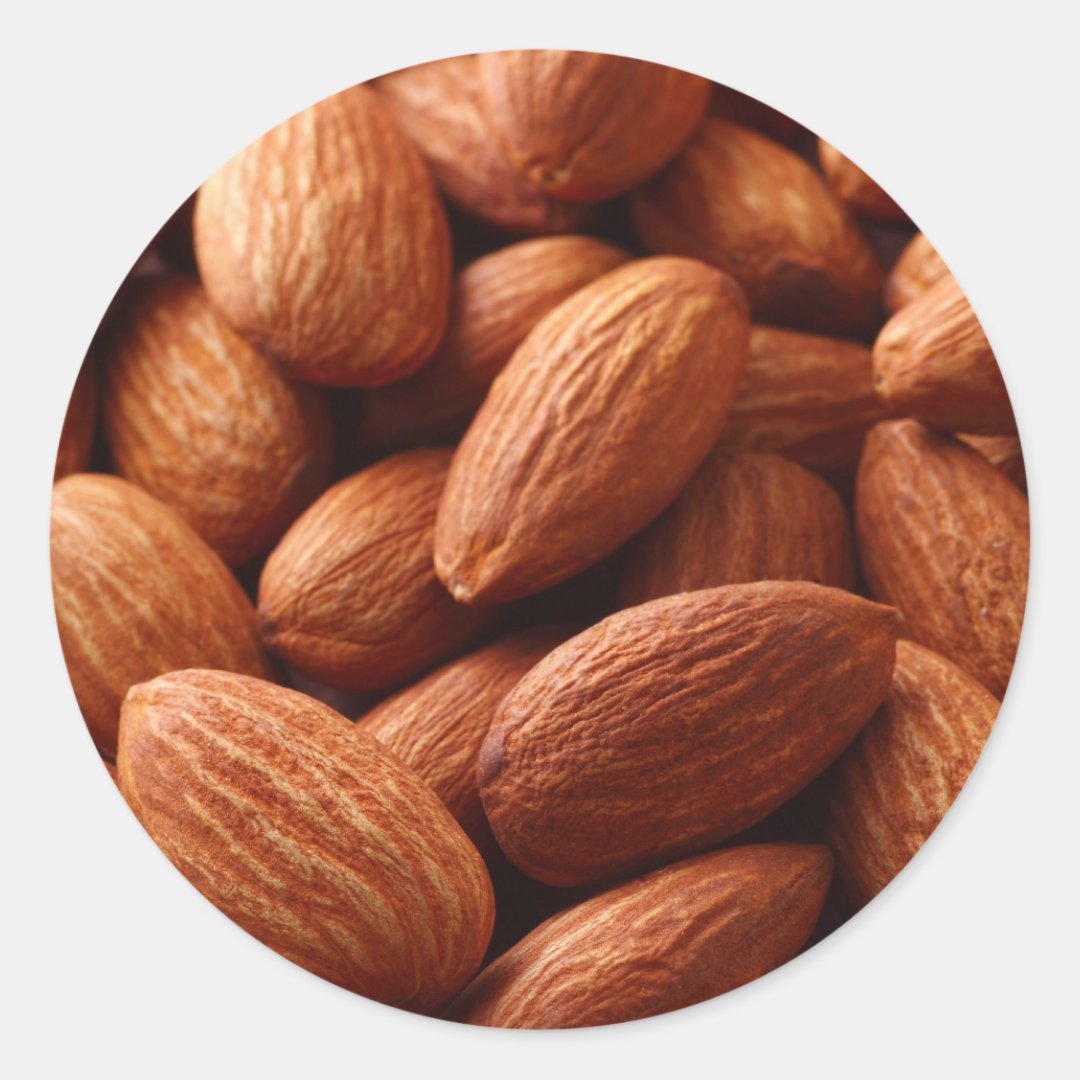 Almond Classic Round Sticker | Zazzle