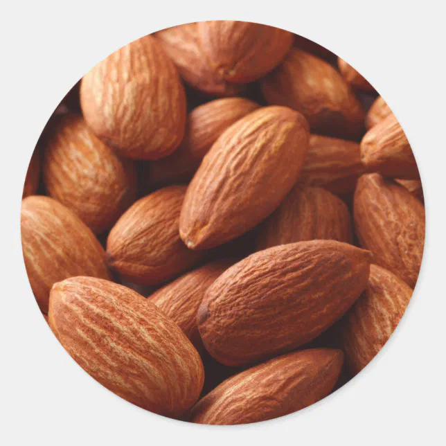 Almond Classic Round Sticker | Zazzle