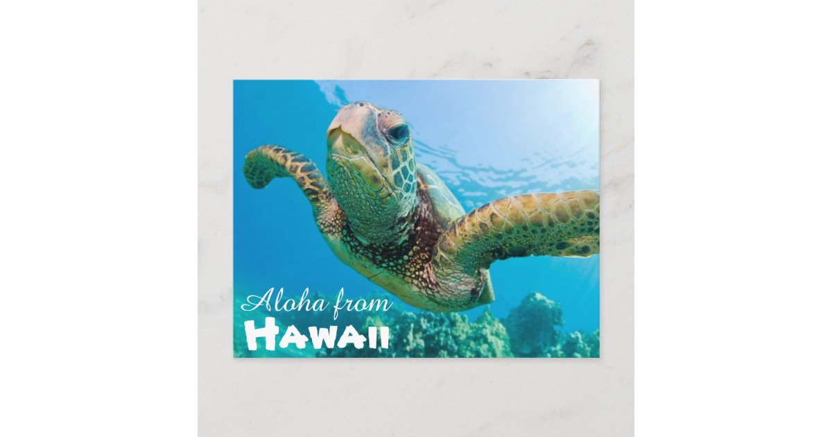 Aloha from Hawaii Honu Green Sea Turtle Postcard | Zazzle