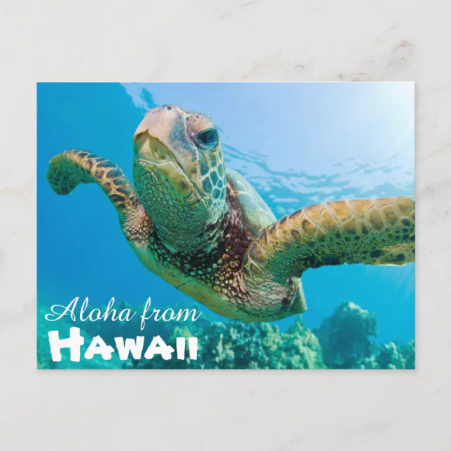 Aloha from Hawaii Honu Green Sea Turtle Postcard | Zazzle