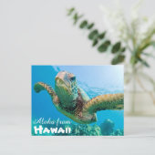 Aloha from Hawaii Honu Green Sea Turtle Postcard | Zazzle