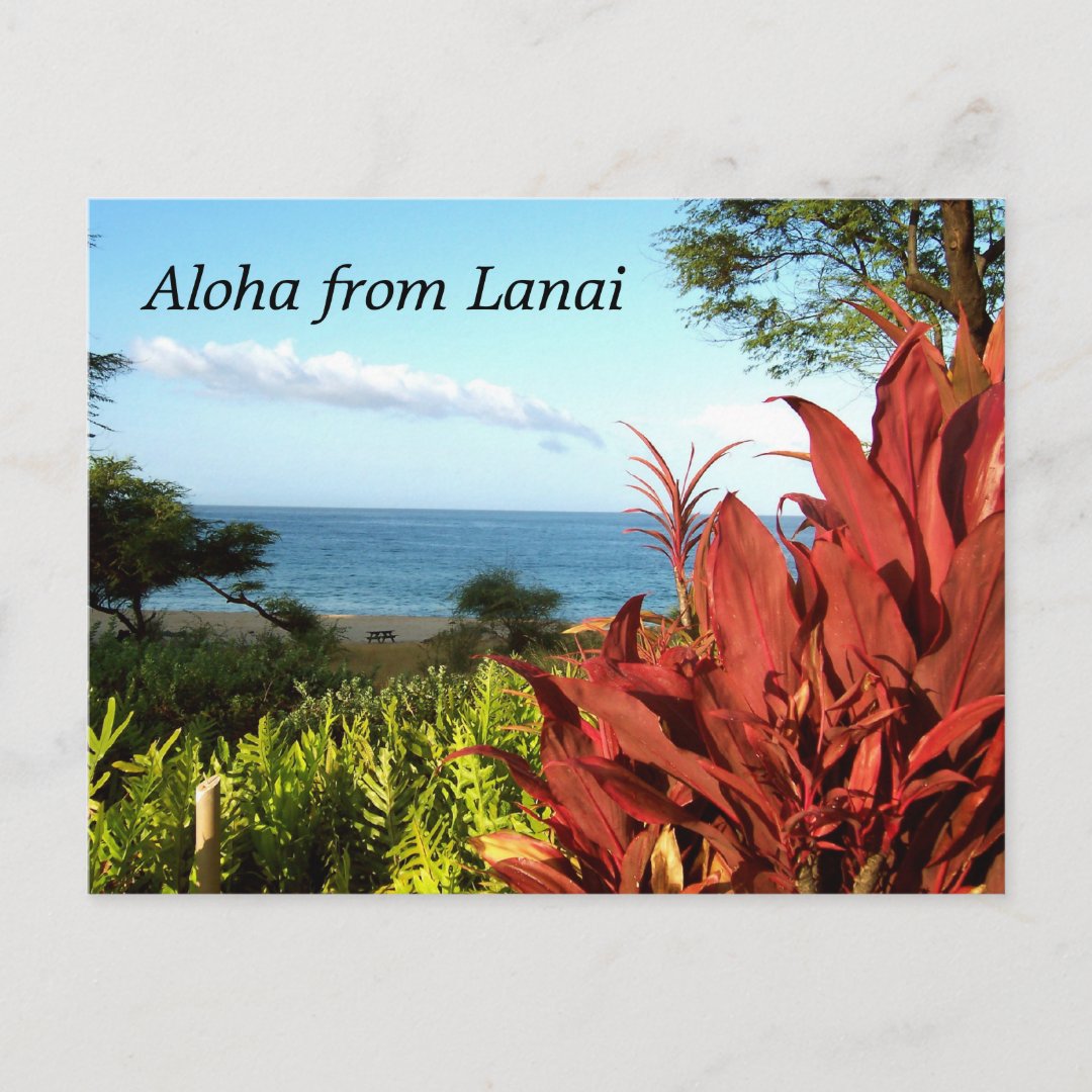 Aloha from Lanai Hawaii Postcard | Zazzle