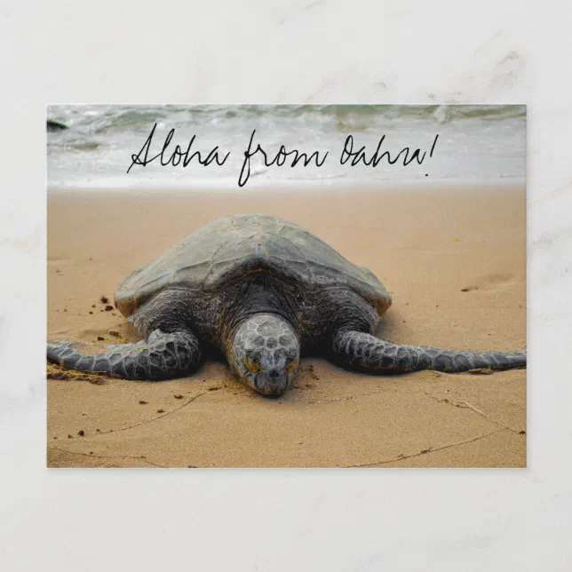 Aloha from Oahu! Postcard with Sea Turtle | Zazzle